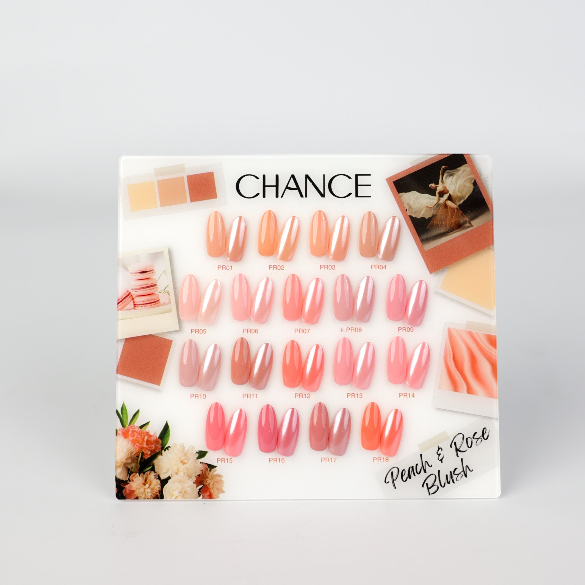 Chance Counter Display Color Chart - Peach & Rose Blush Collection 18