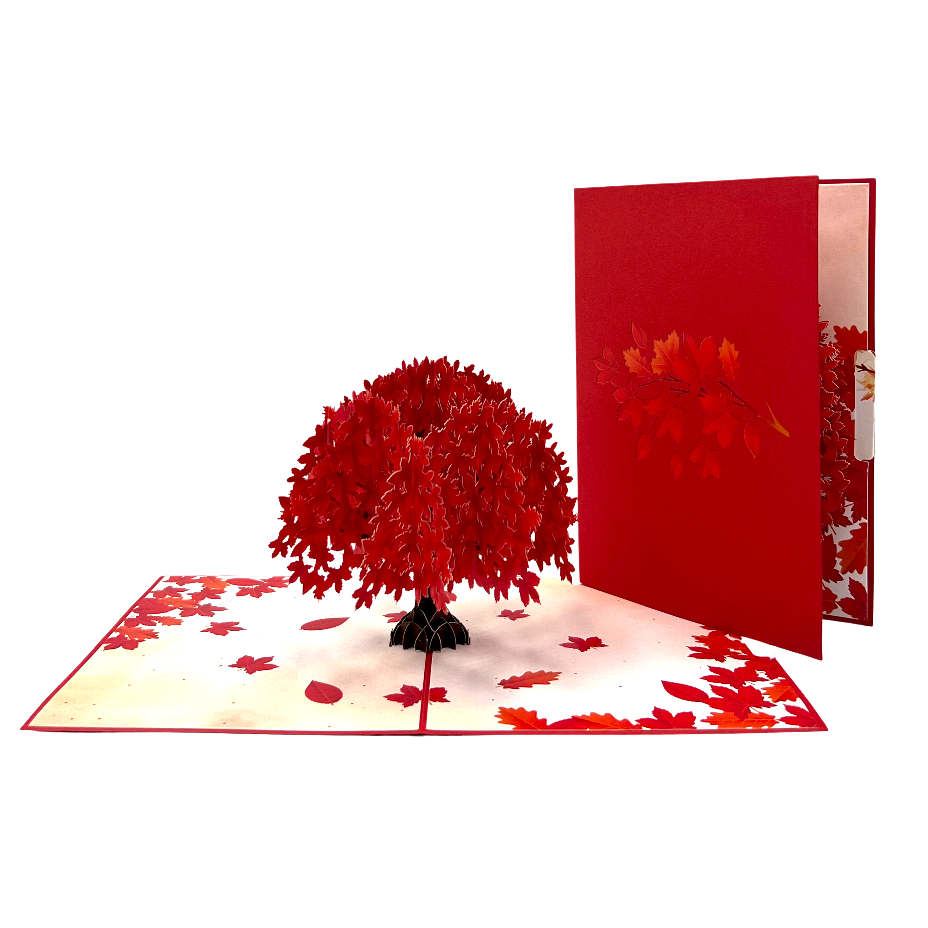 Pop Up Greeting Red Maple Tree Nature Lover Card, Birthday Thank You G
